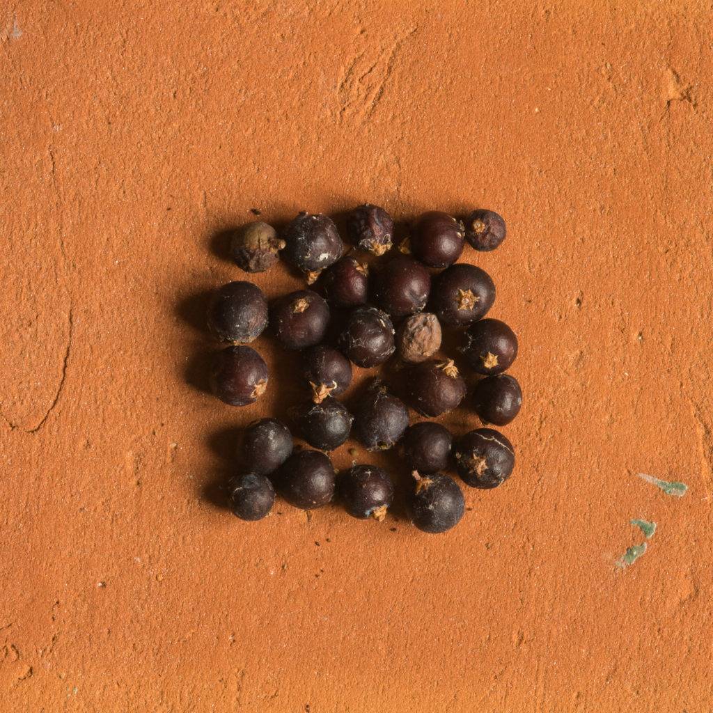Juniper berries whole - Knisterwelt
